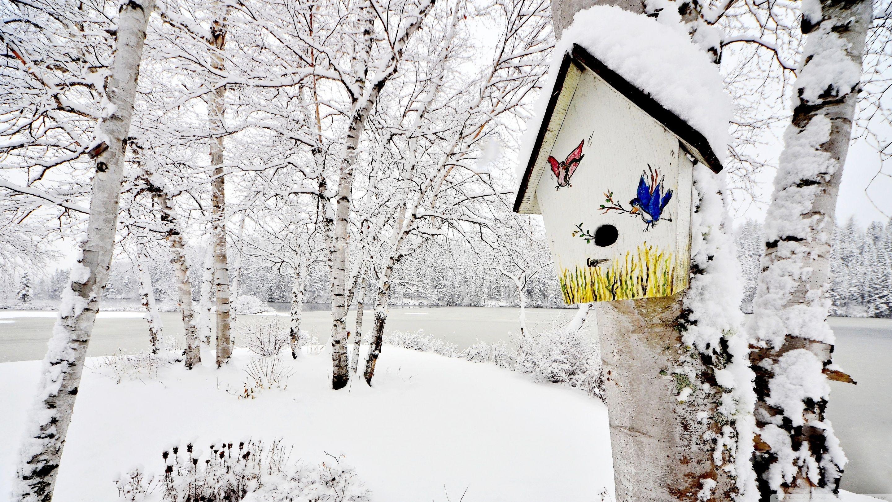 Zen Winter Wallpapers - Top Free Zen Winter Backgrounds - WallpaperAccess