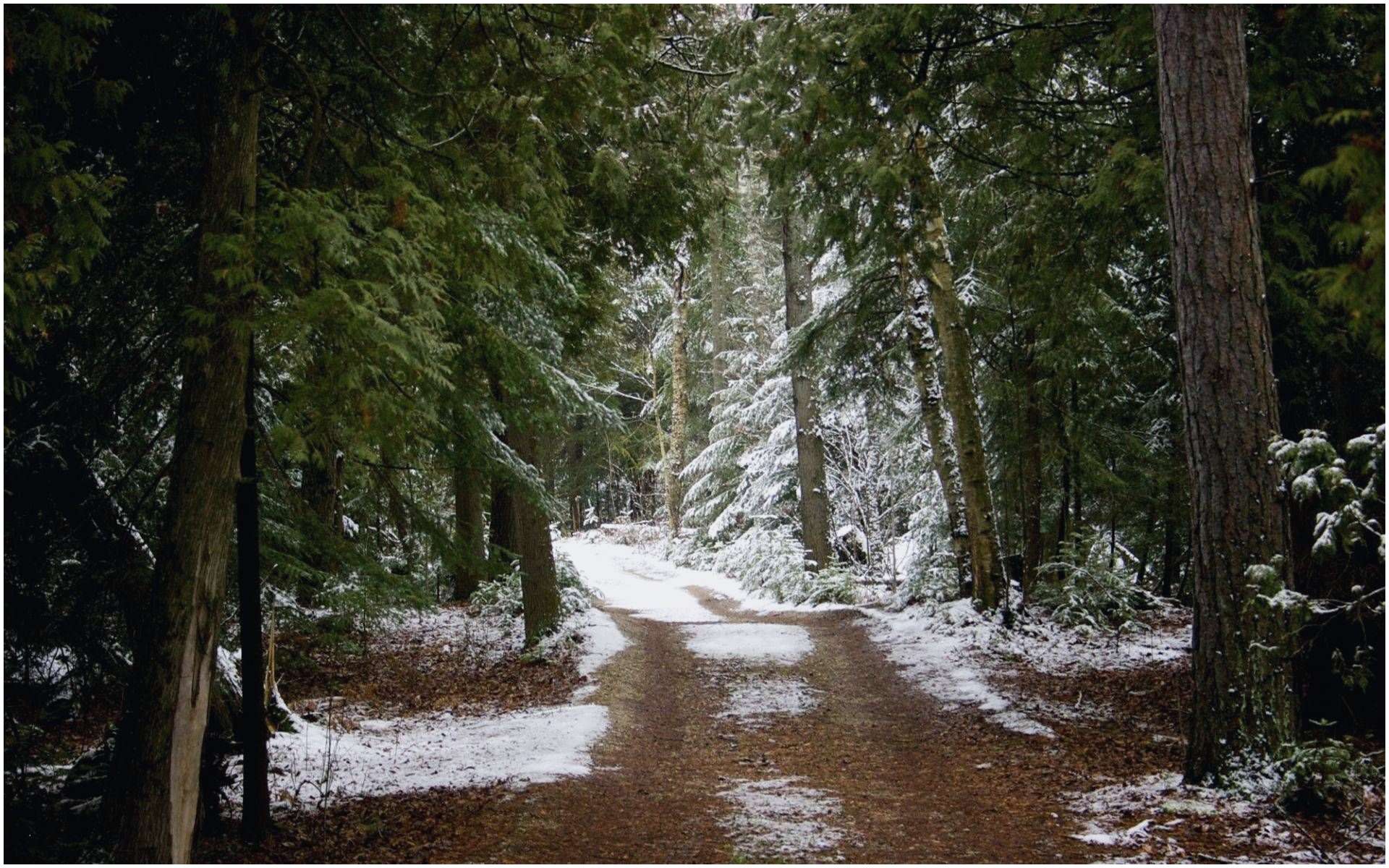 Zen Winter Wallpapers - Top Free Zen Winter Backgrounds - WallpaperAccess