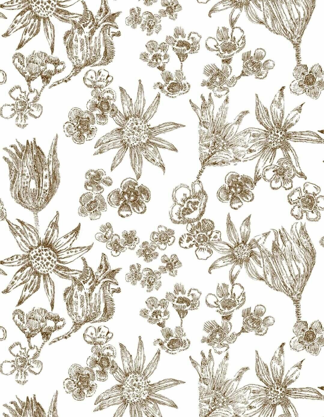 Australian Flowers Wallpapers - Top Free Australian Flowers Backgrounds ...