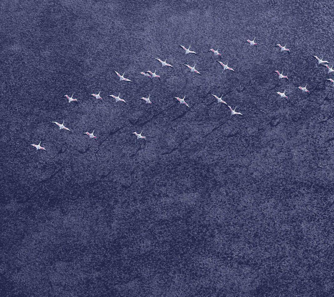 Google Pixel Phone Wallpapers - Top Free Google Pixel Phone Backgrounds ...