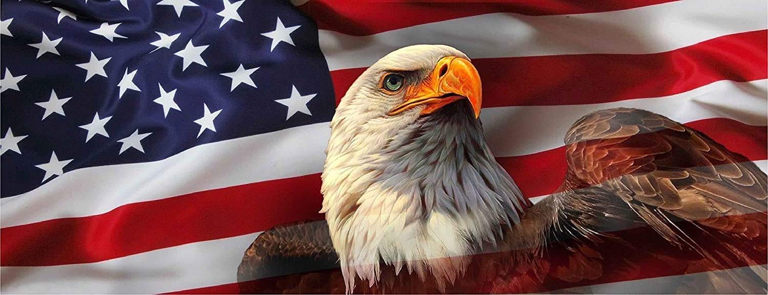 Cool USA Flag Eagle Wallpapers - Top Free Cool USA Flag Eagle ...