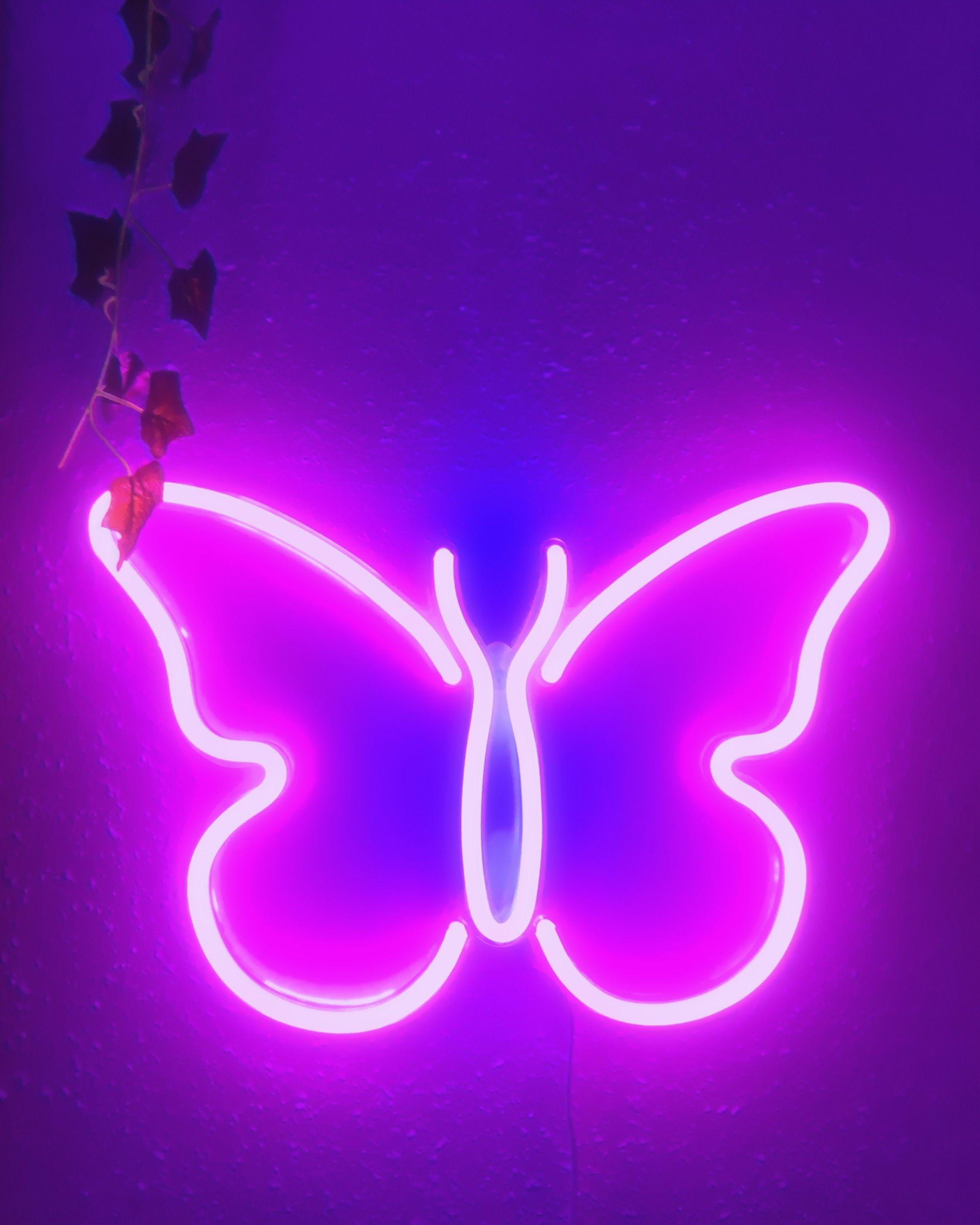 Neon Purple Butterfly Wallpapers - Top Free Neon Purple Butterfly ...