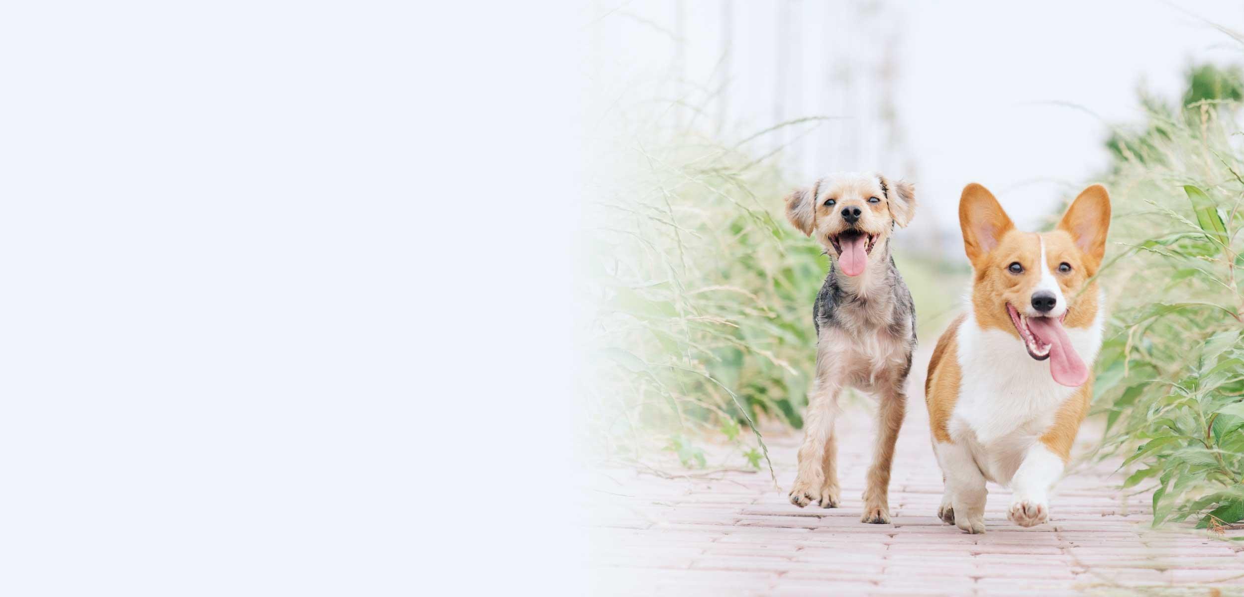 Acid Desktop Wallpapers - Top Free Acid Desktop Backgrounds ...