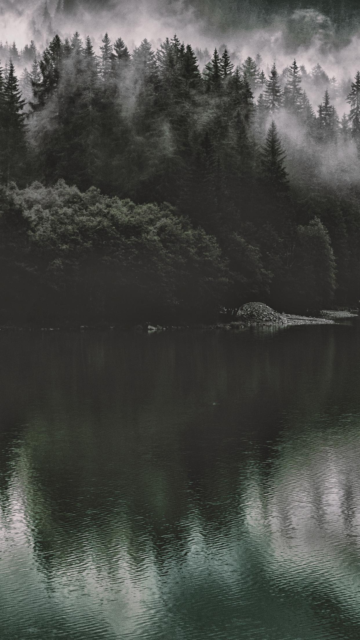 Gloomy Nature Wallpapers - Top Free Gloomy Nature Backgrounds ...