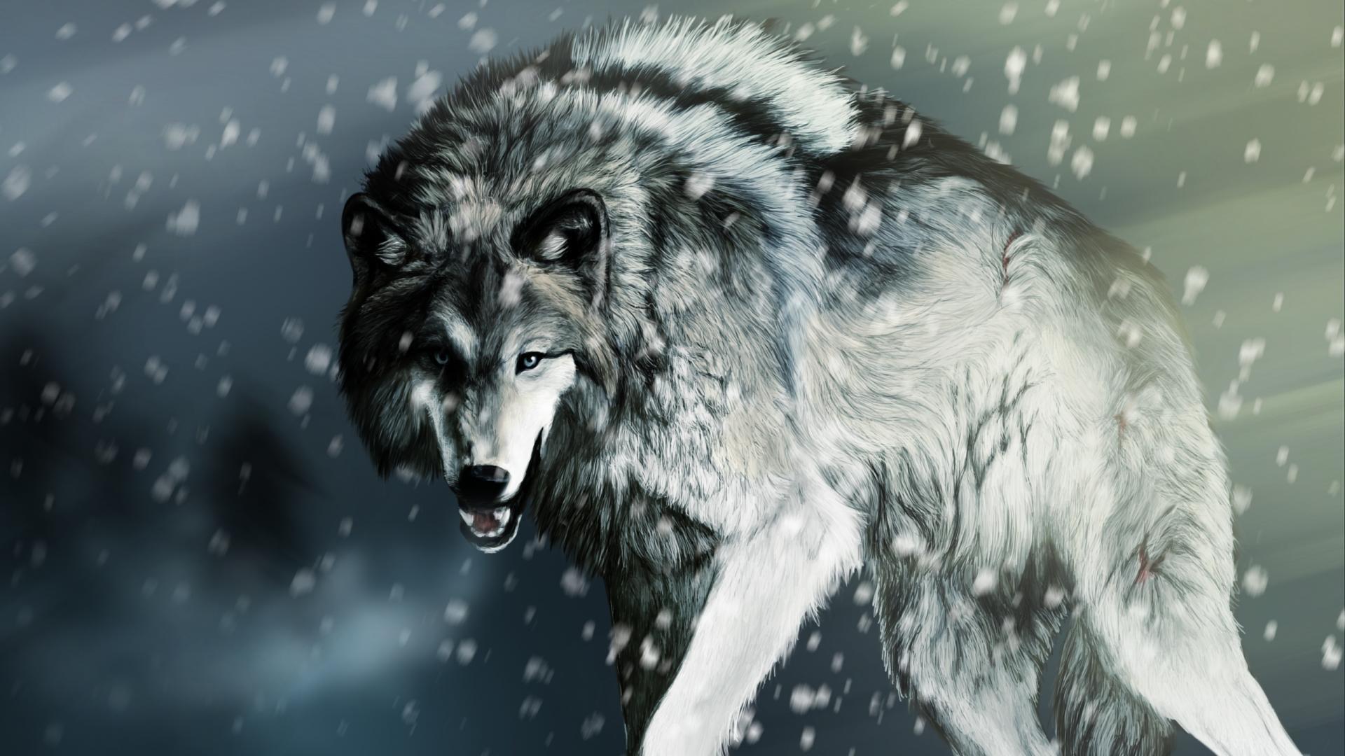 Silver Wolf Wallpapers - Top Free Silver Wolf Backgrounds - WallpaperAccess