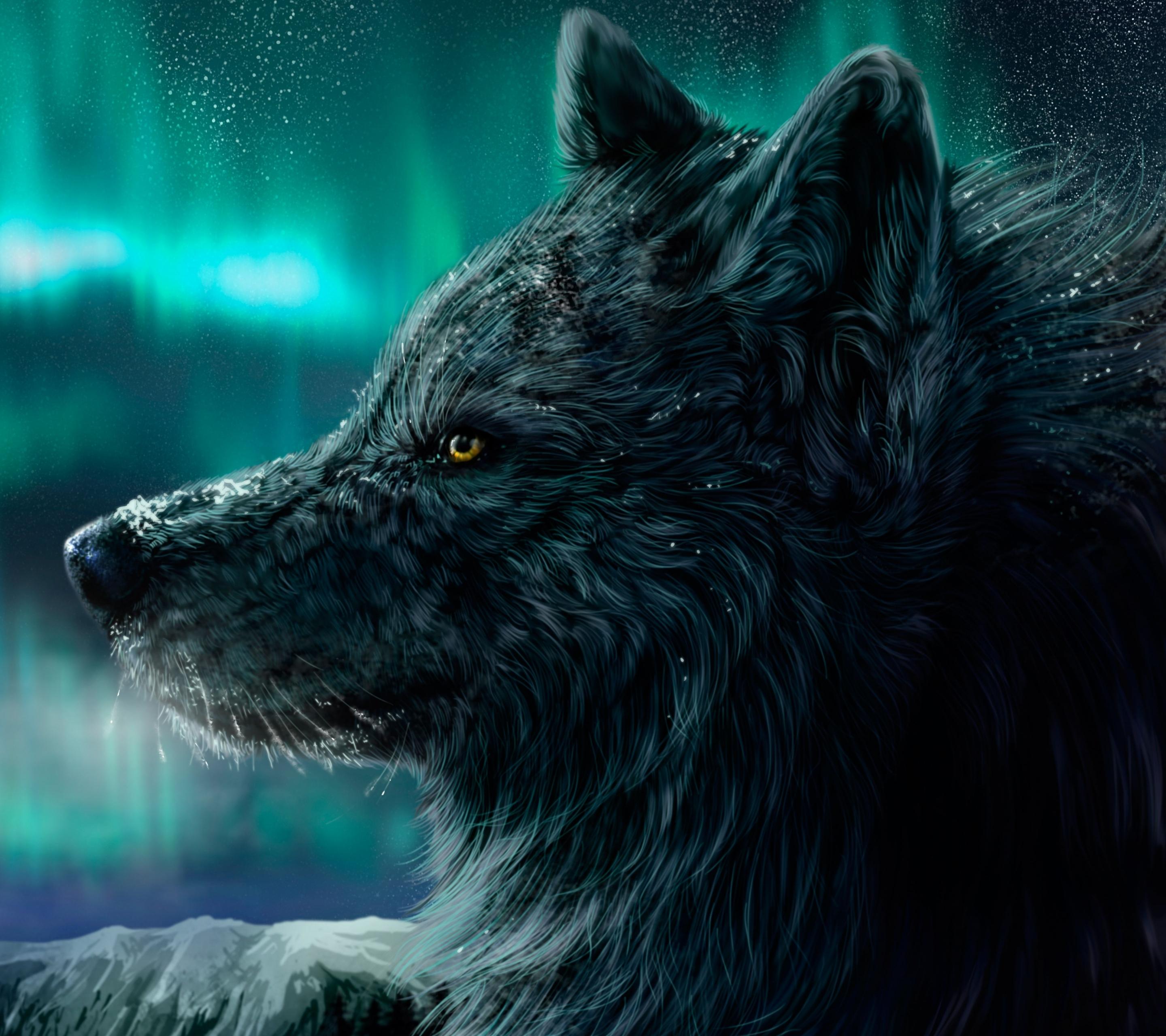 Silver Wolf Wallpapers - Top Free Silver Wolf Backgrounds - WallpaperAccess