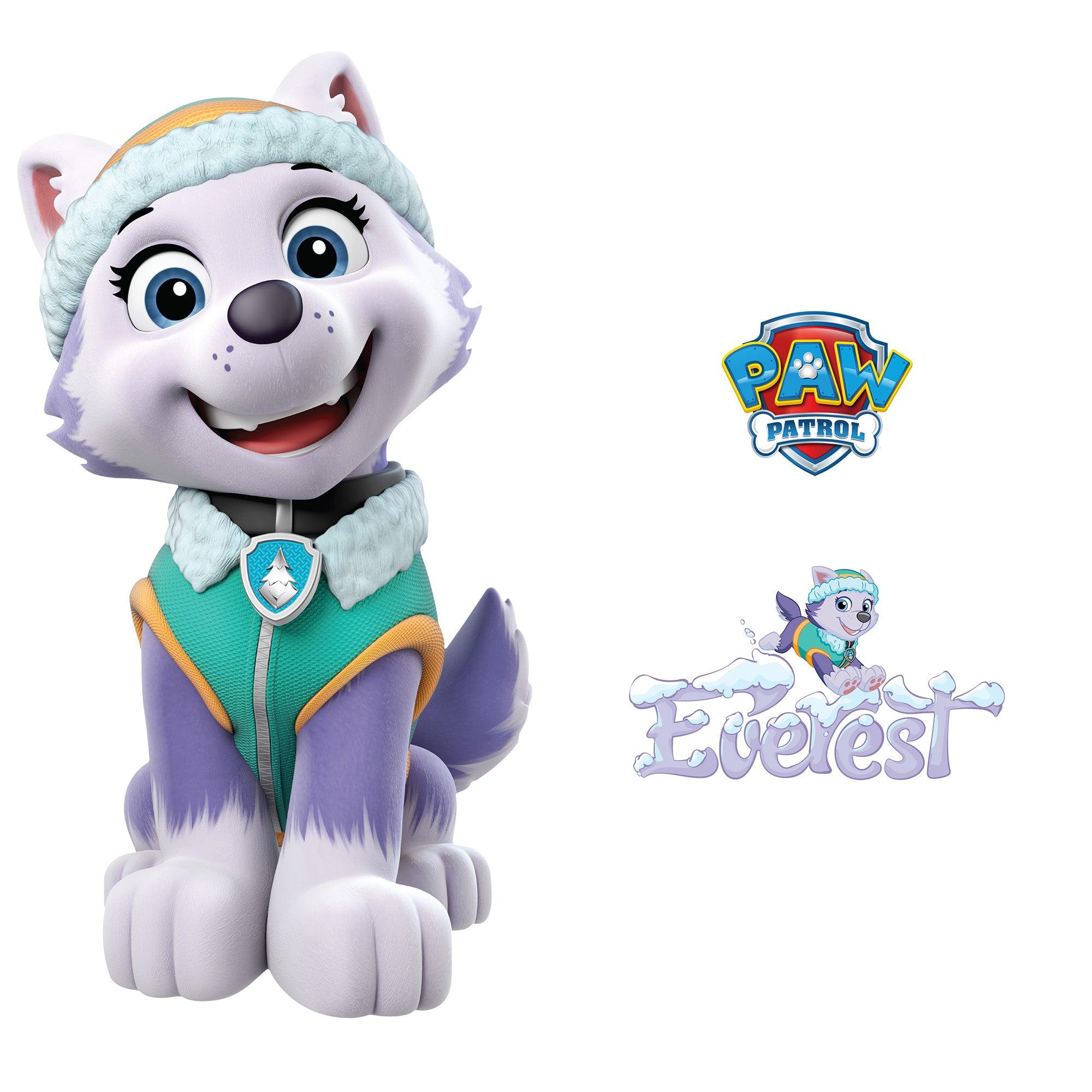 Everest PAW Patrol Wallpapers - Top Free Everest PAW Patrol Backgrounds ...