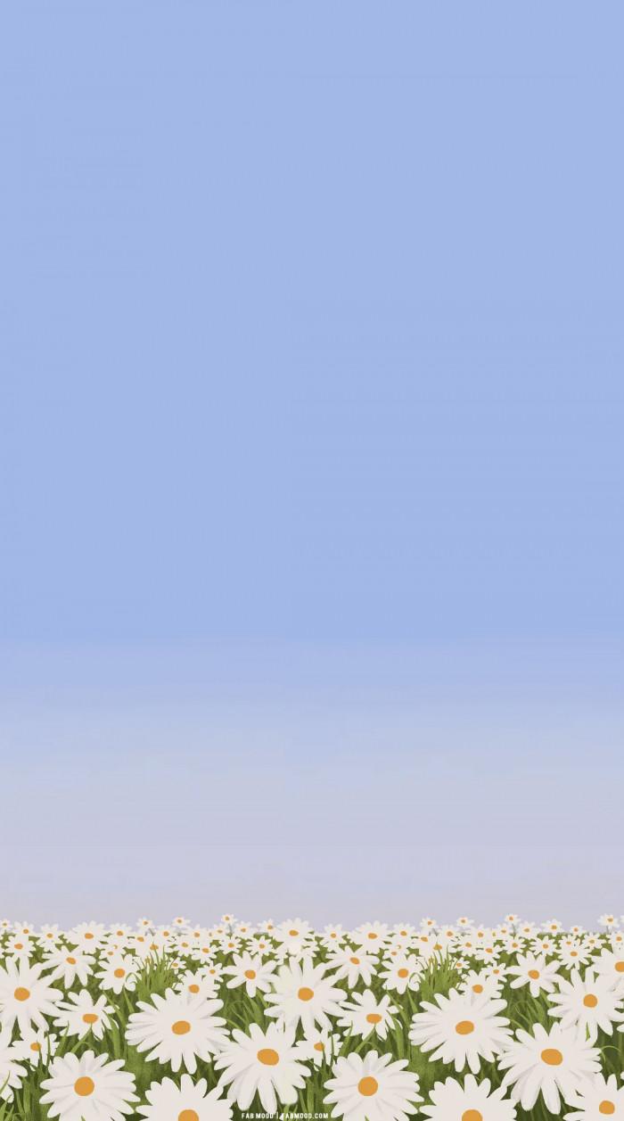 Spring Daisy Wallpapers - Top Free Spring Daisy Backgrounds ...