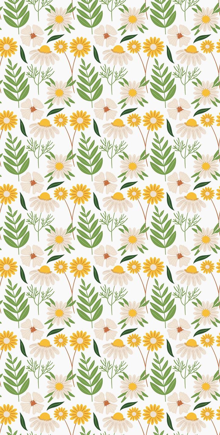 Spring Daisy Wallpapers - Top Free Spring Daisy Backgrounds ...