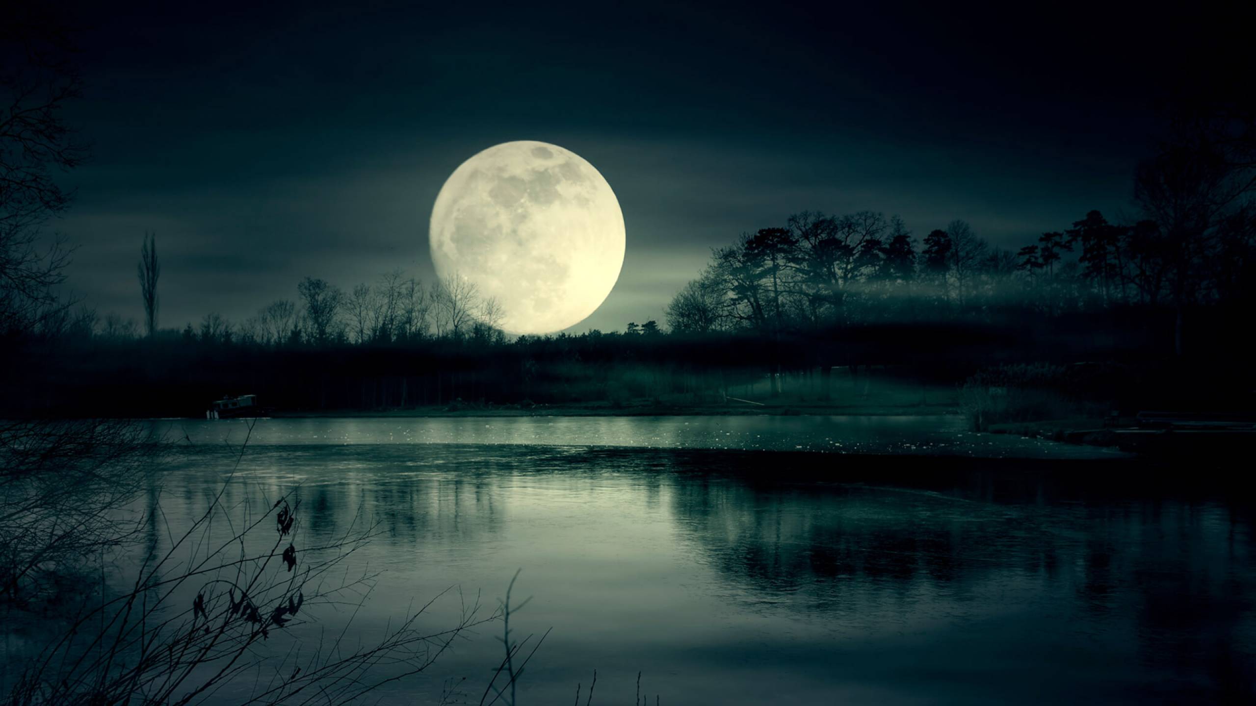 Full Moon Forest Wallpapers - Top Free Full Moon Forest Backgrounds ...