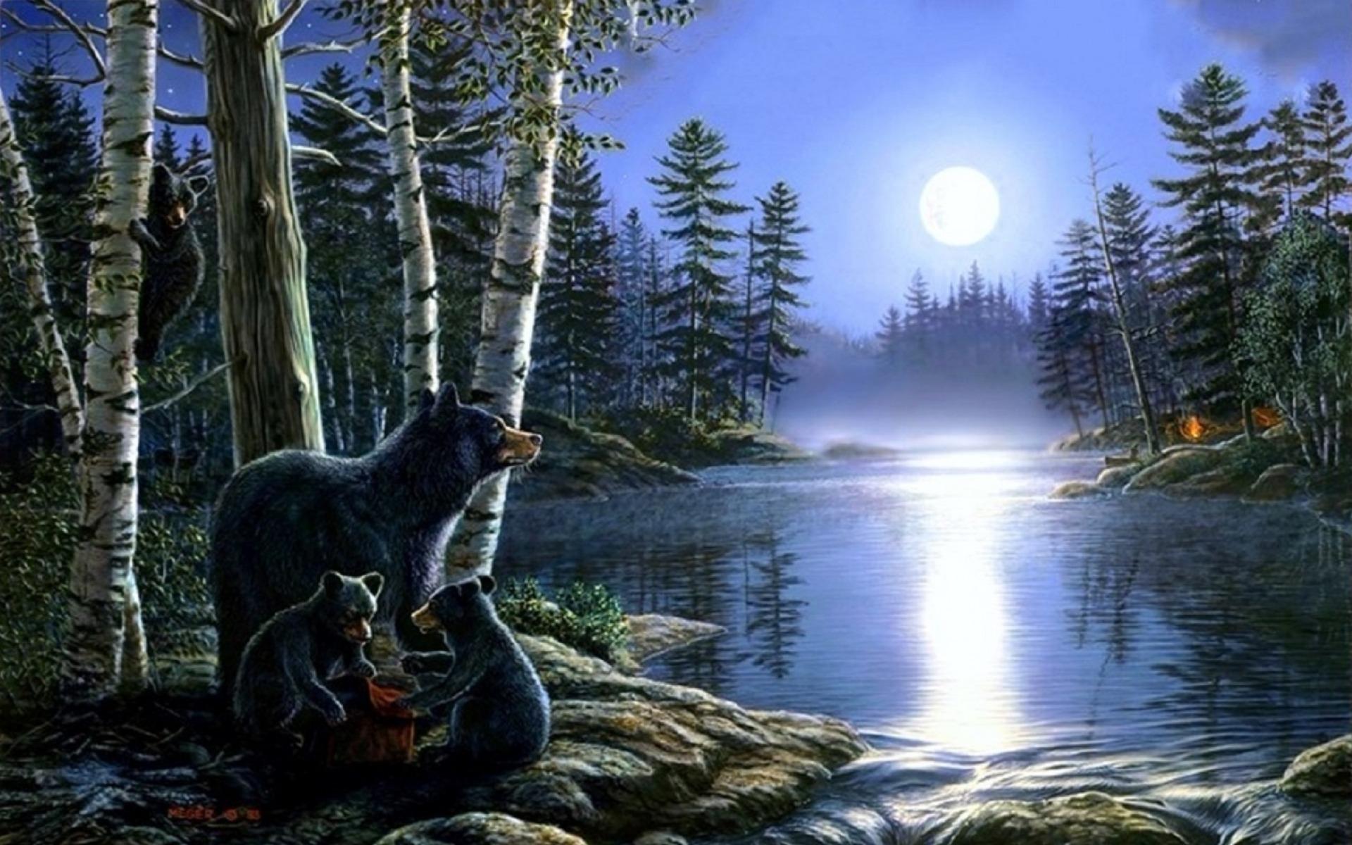 Full Moon Forest Wallpapers - Top Free Full Moon Forest Backgrounds ...