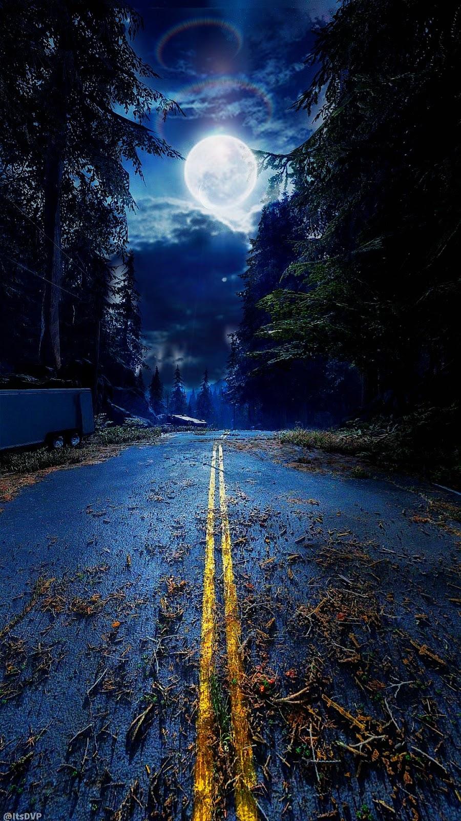 Full Moon Forest Wallpapers - Top Free Full Moon Forest Backgrounds ...