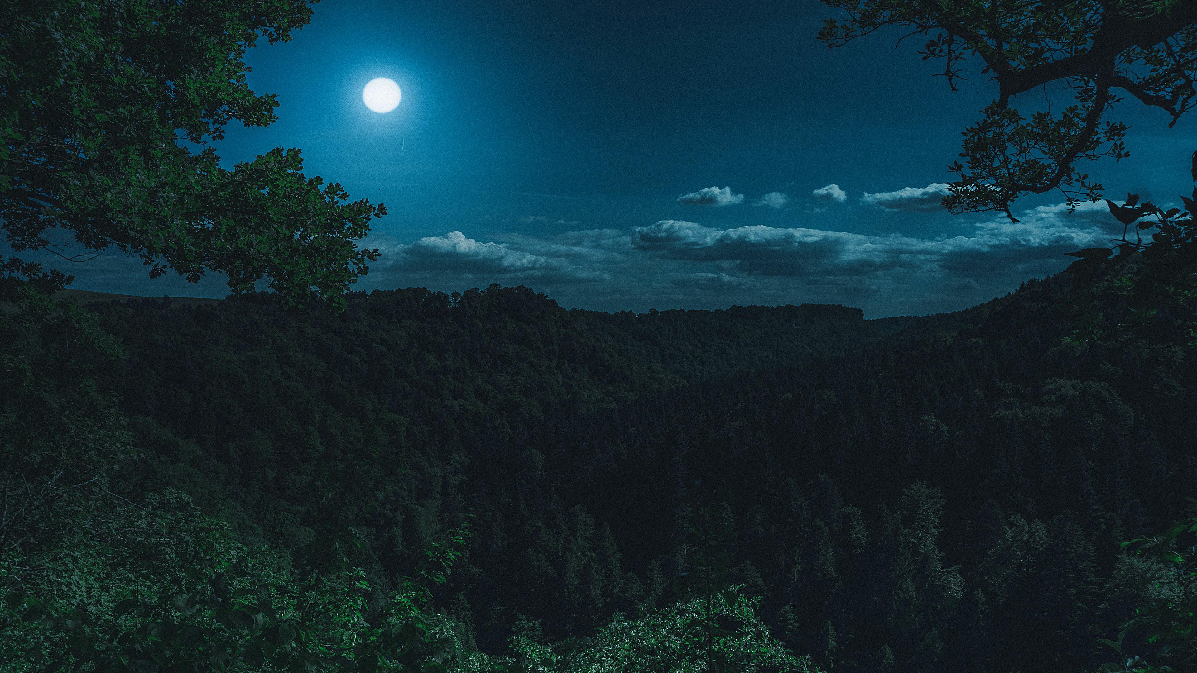 Full Moon Forest Wallpapers - Top Free Full Moon Forest Backgrounds ...
