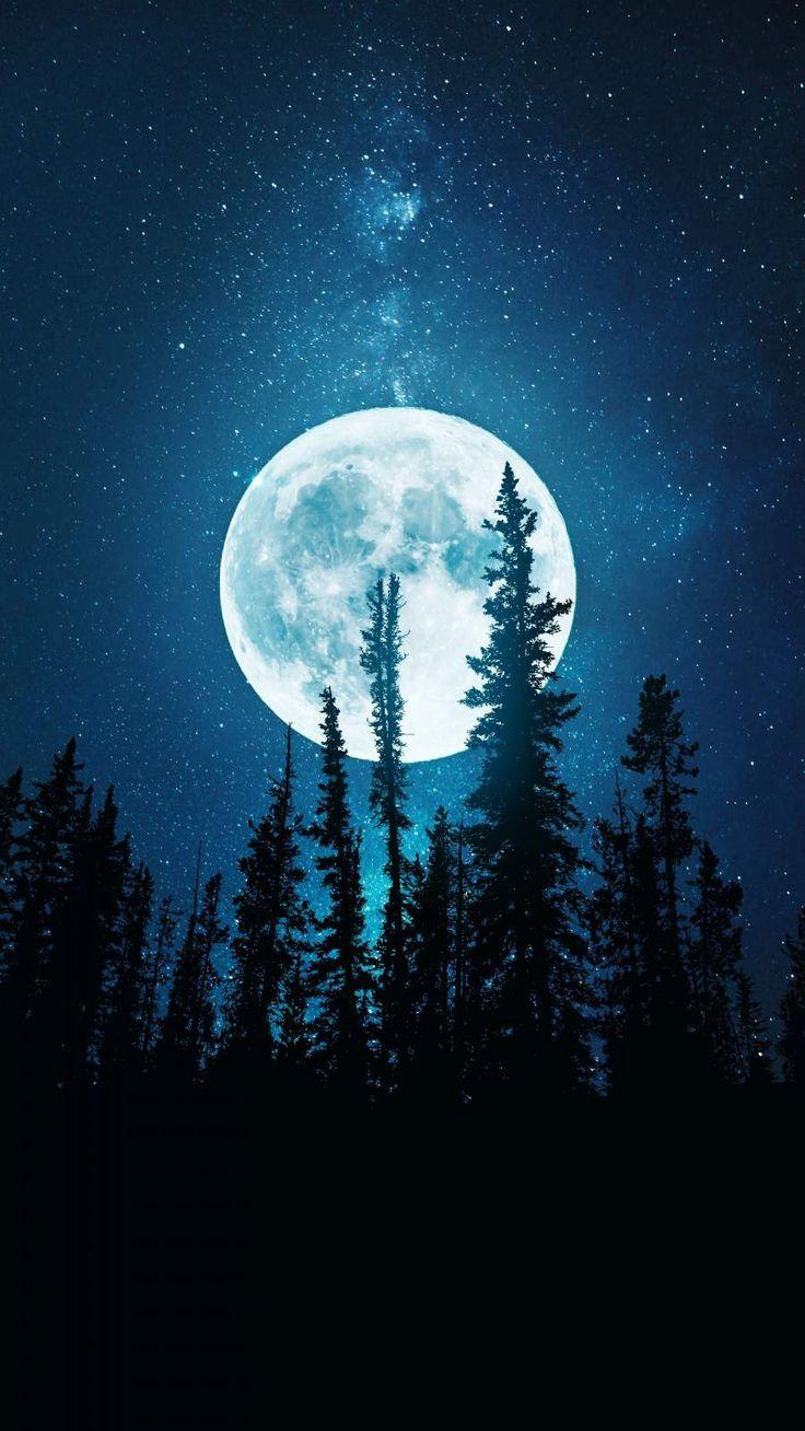 Full Moon Forest Wallpapers - Top Free Full Moon Forest Backgrounds ...