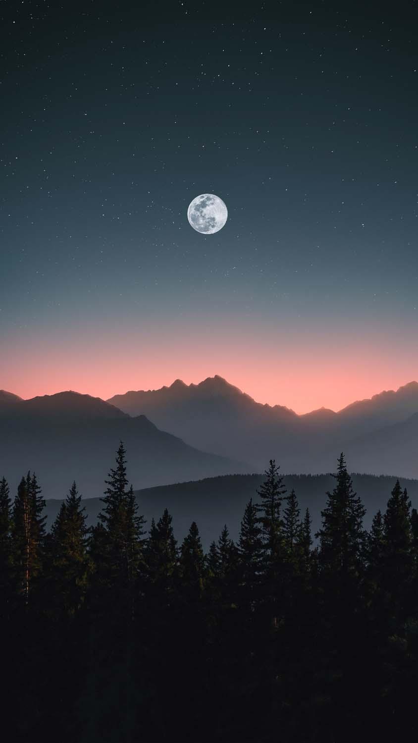 Full Moon Forest Wallpapers - Top Free Full Moon Forest Backgrounds ...