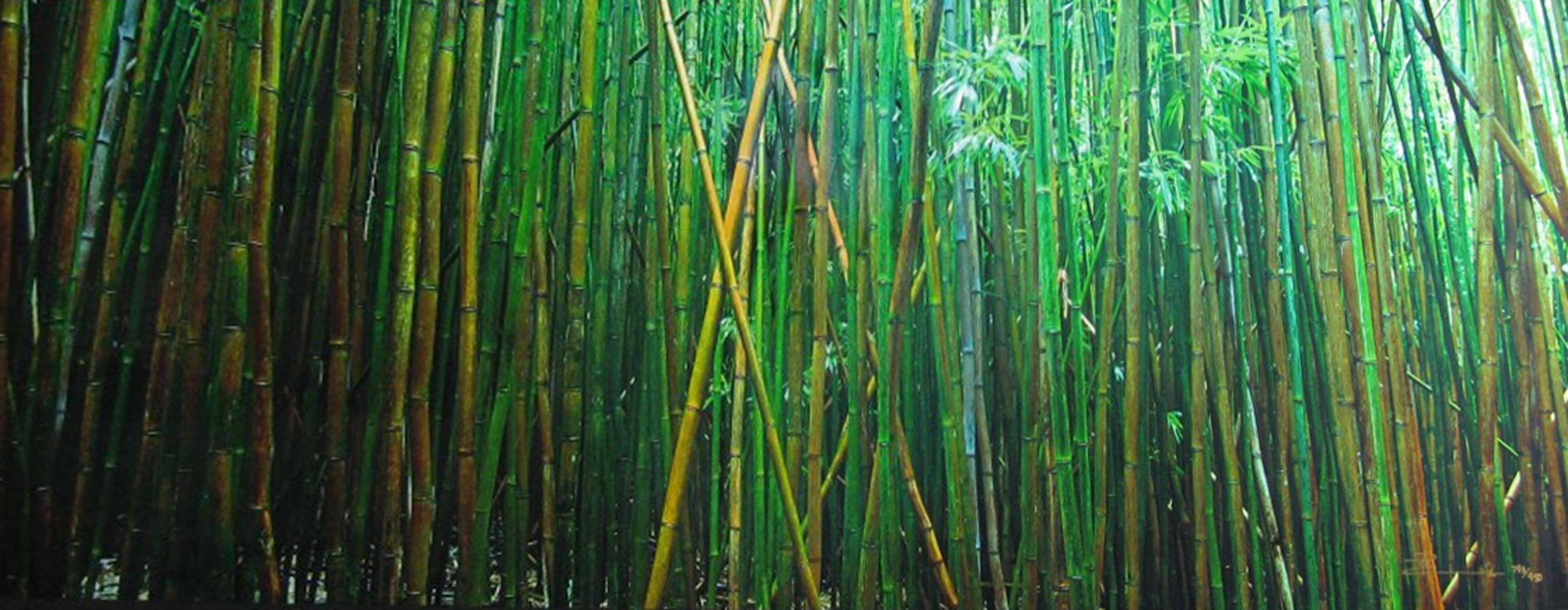 Peter Lik Wallpapers - Top Free Peter Lik Backgrounds - WallpaperAccess