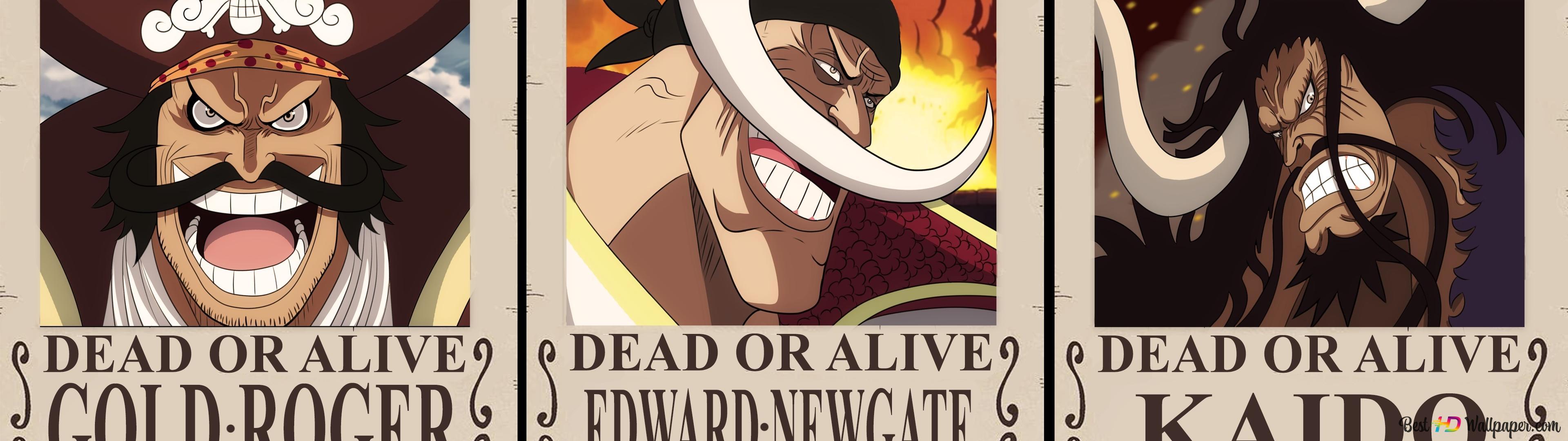 One Piece Bounty Wallpapers - Top Free One Piece Bounty Backgrounds ...