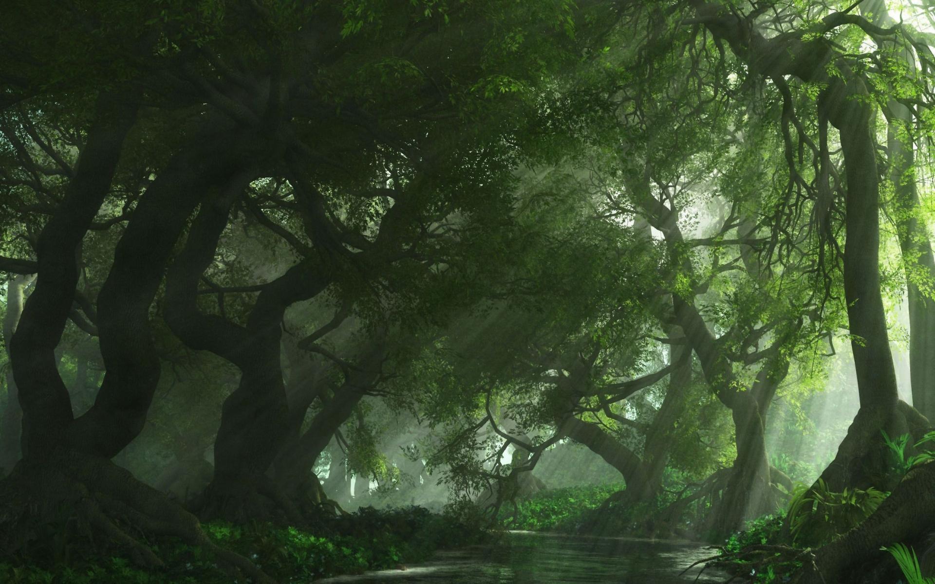 Digital Art Forest Wallpapers - Top Free Digital Art Forest Backgrounds ...