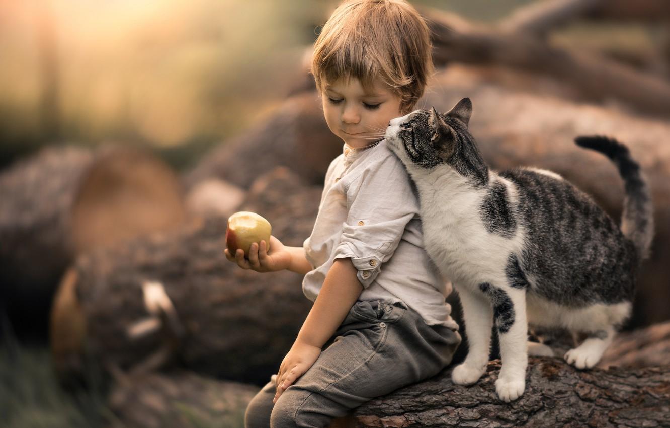 Cat and Boy Wallpapers - Top Free Cat and Boy Backgrounds - WallpaperAccess