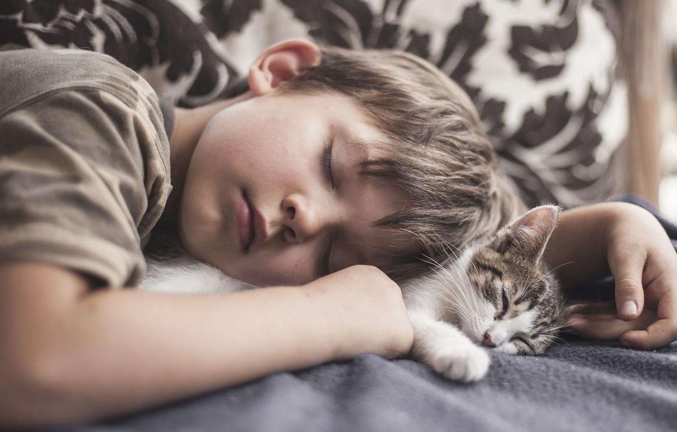 Cat and Boy Wallpapers - Top Free Cat and Boy Backgrounds - WallpaperAccess