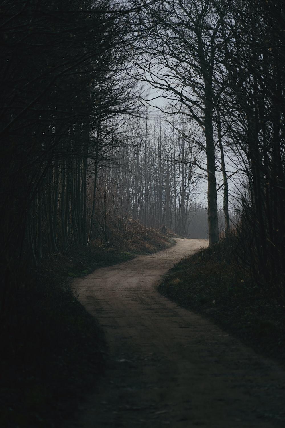 Dark Path Wallpapers - Top Free Dark Path Backgrounds - WallpaperAccess