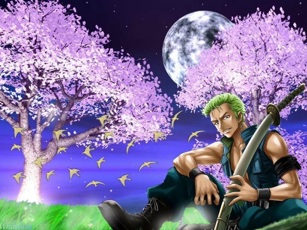 Purple Zoro Wallpapers - Top Free Purple Zoro Backgrounds - WallpaperAccess