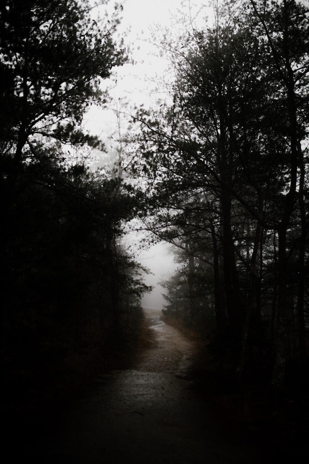 Dark Path Wallpapers - Top Free Dark Path Backgrounds - WallpaperAccess