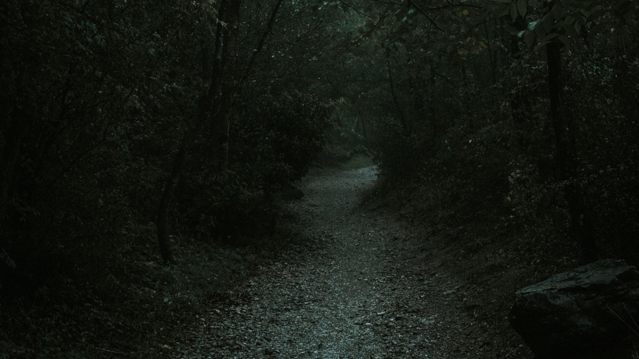 Dark Path Wallpapers - Top Free Dark Path Backgrounds - WallpaperAccess