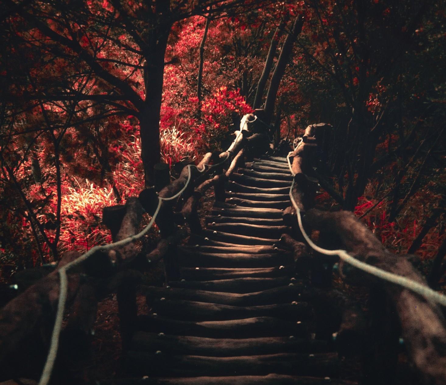Dark Path Wallpapers - Top Free Dark Path Backgrounds - WallpaperAccess