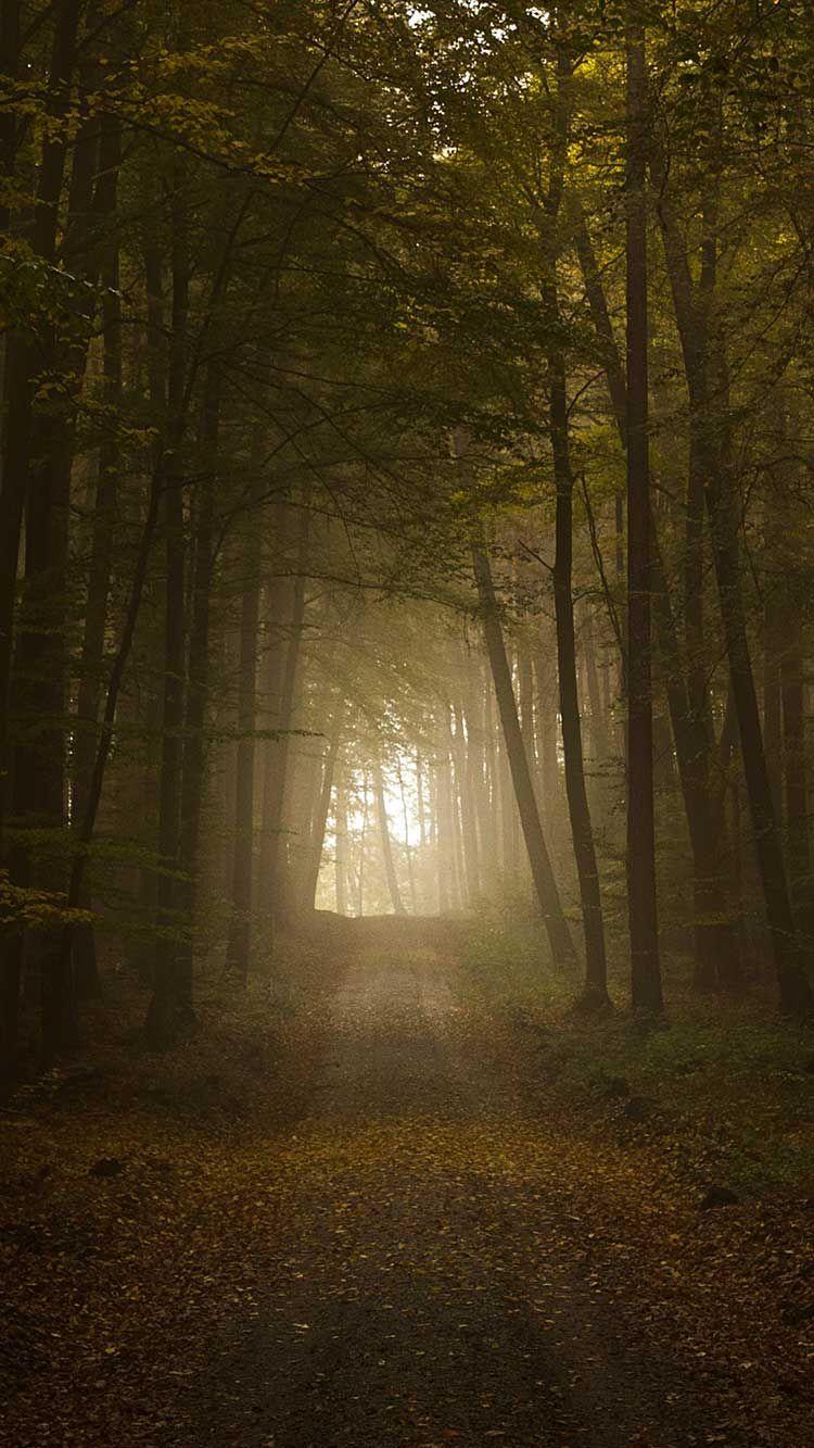 Dark Path Wallpapers - Top Free Dark Path Backgrounds - WallpaperAccess