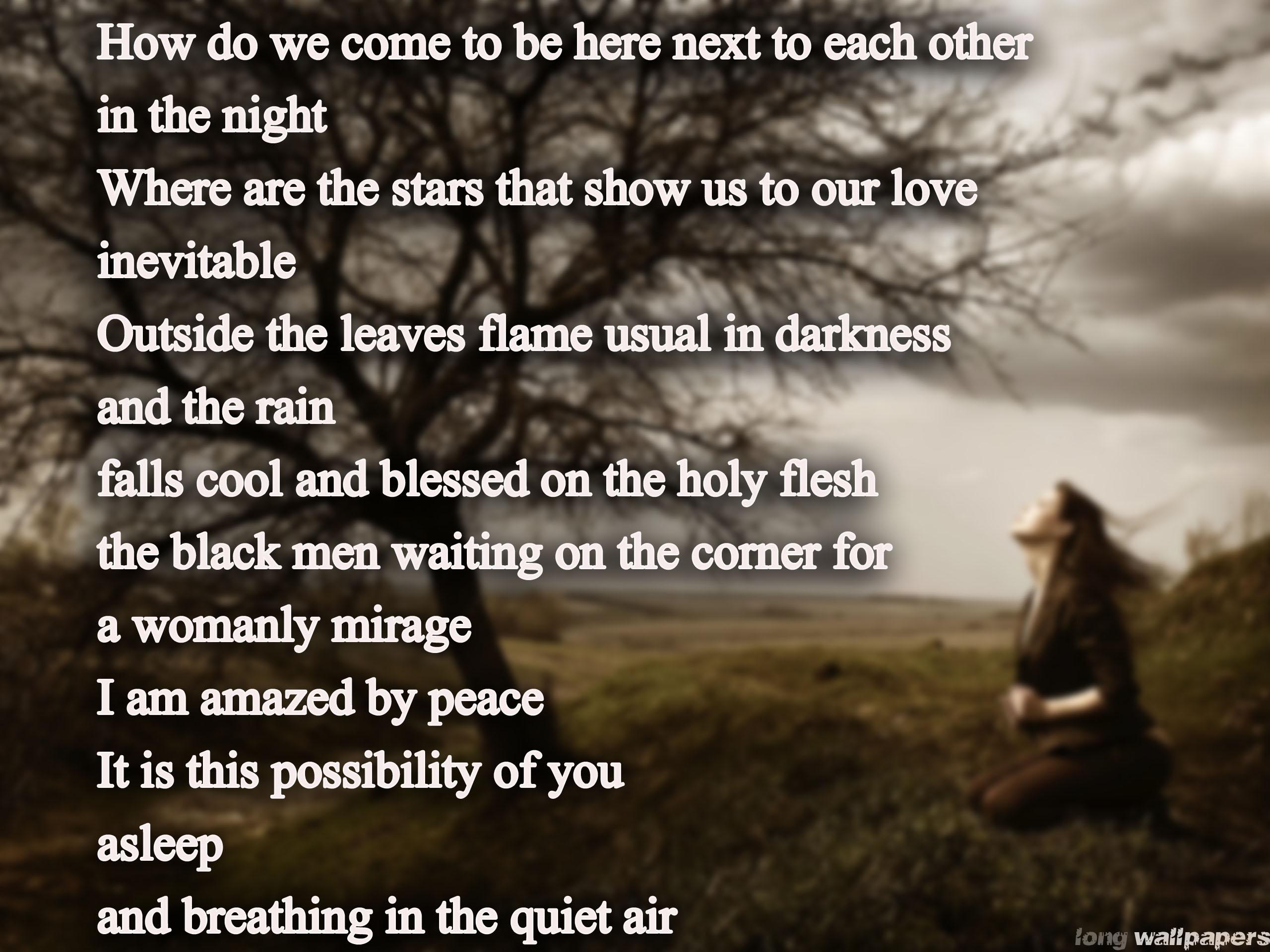 Love Poetry Wallpapers - Top Free Love Poetry Backgrounds - WallpaperAccess