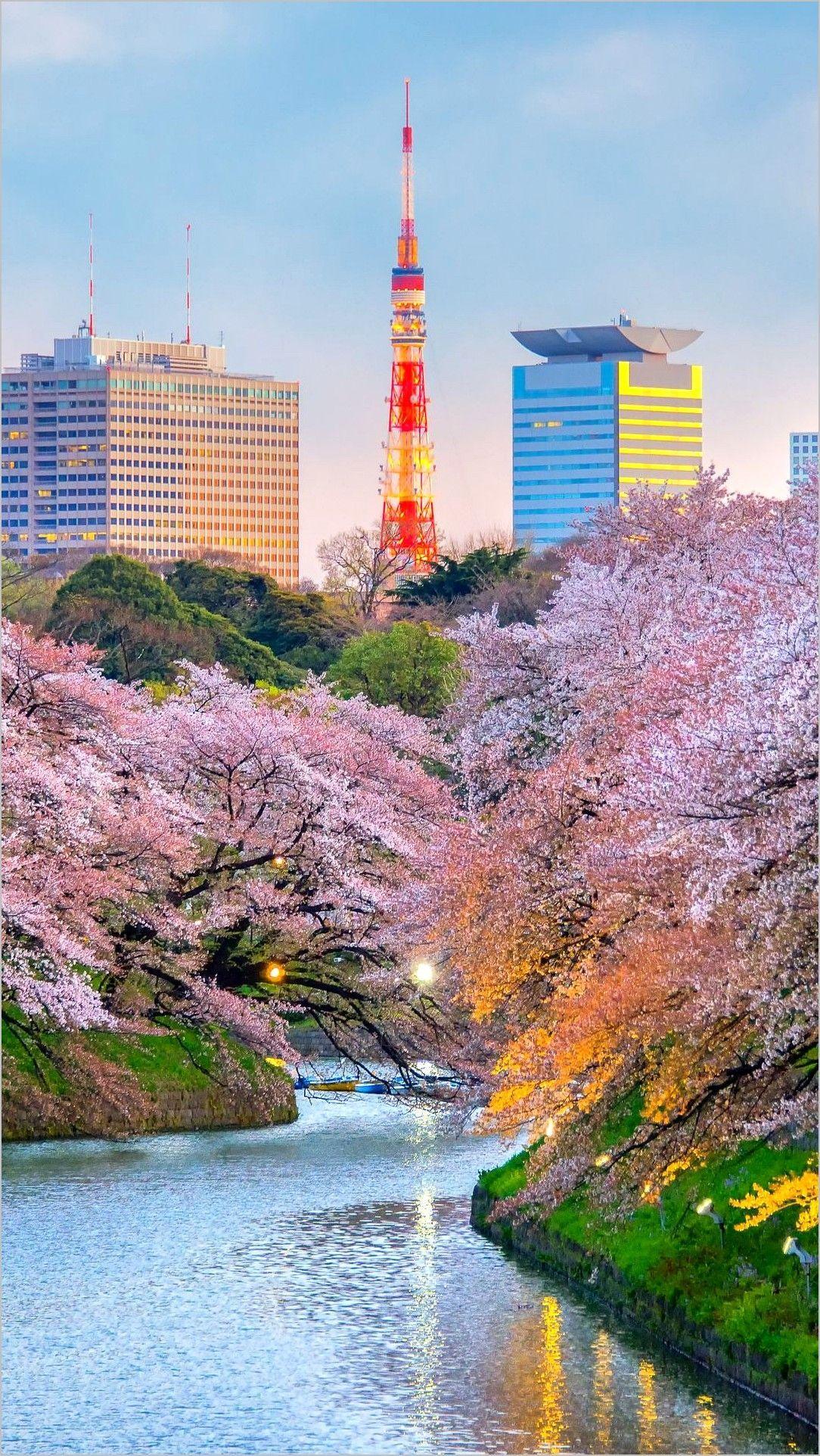 Tokyo Nature Wallpapers - Top Free Tokyo Nature Backgrounds ...
