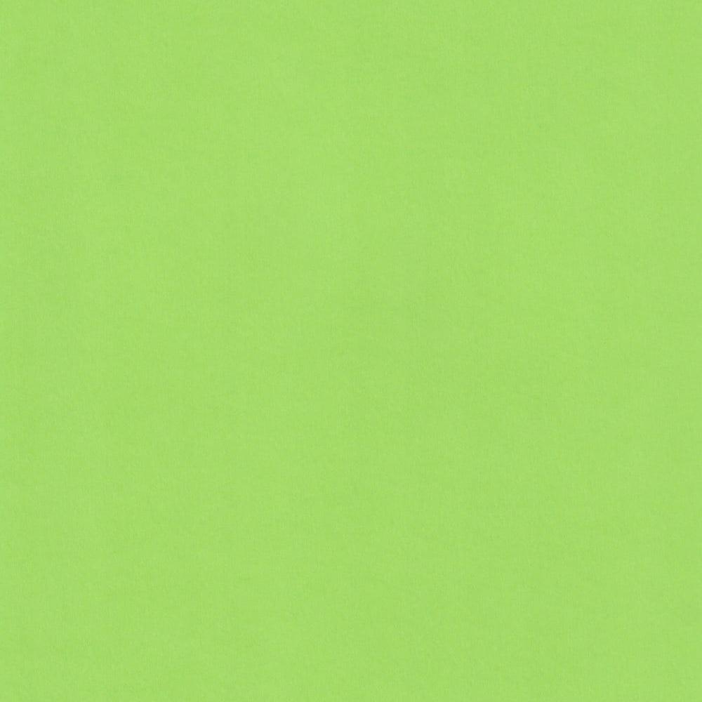 Solid Lime Wallpapers - Top Free Solid Lime Backgrounds - WallpaperAccess