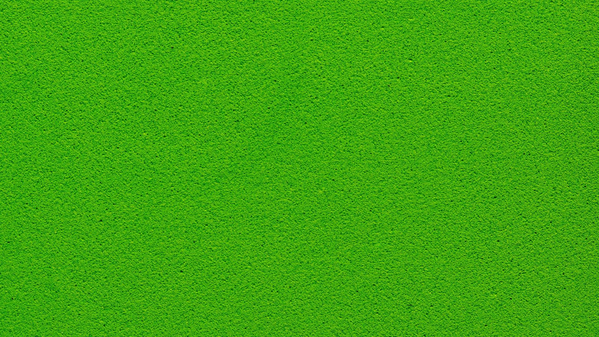 Solid Lime Wallpapers - Top Free Solid Lime Backgrounds - WallpaperAccess