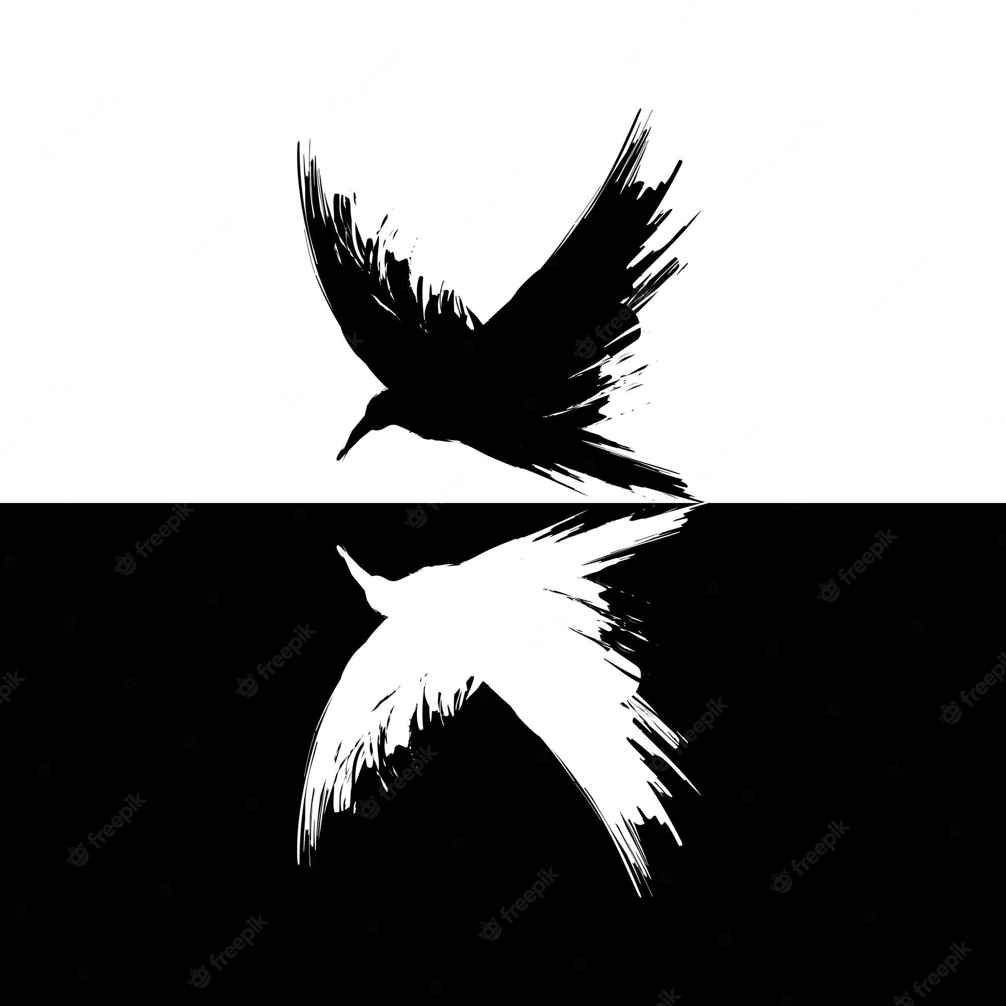 White Raven Wallpapers - Top Free White Raven Backgrounds - WallpaperAccess
