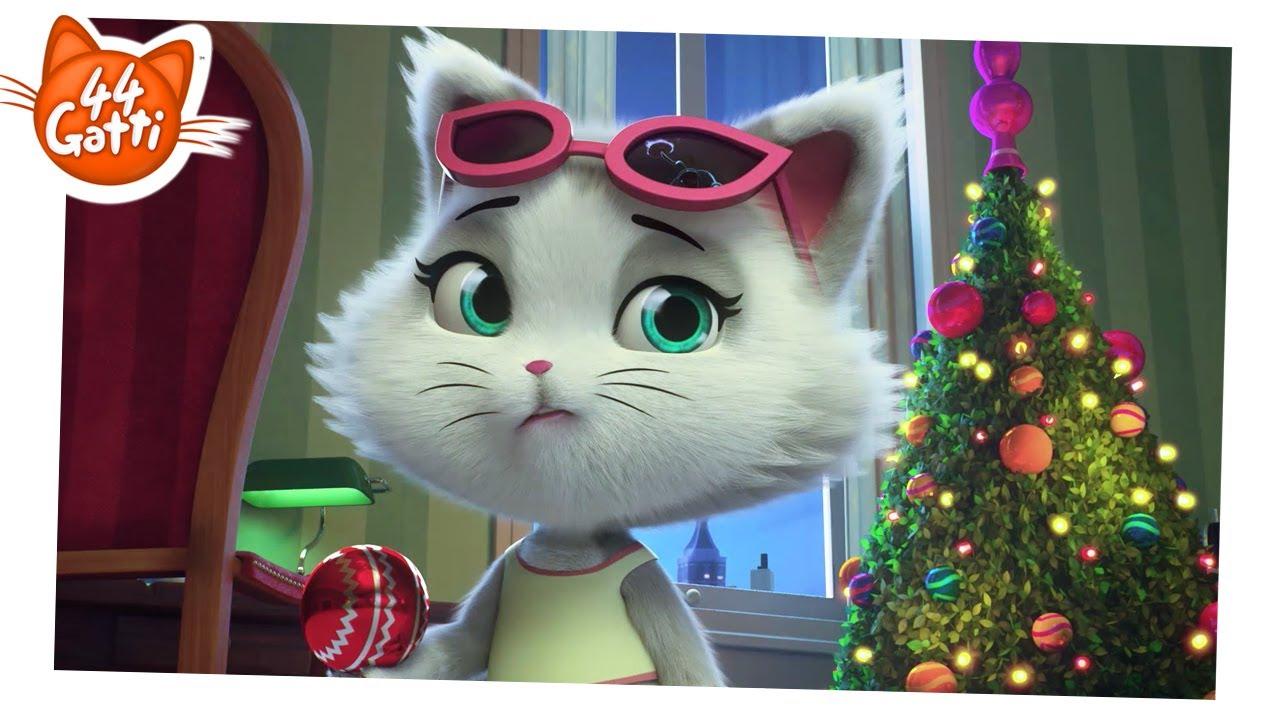 44 Cats Wallpapers - Top Free 44 Cats Backgrounds - WallpaperAccess