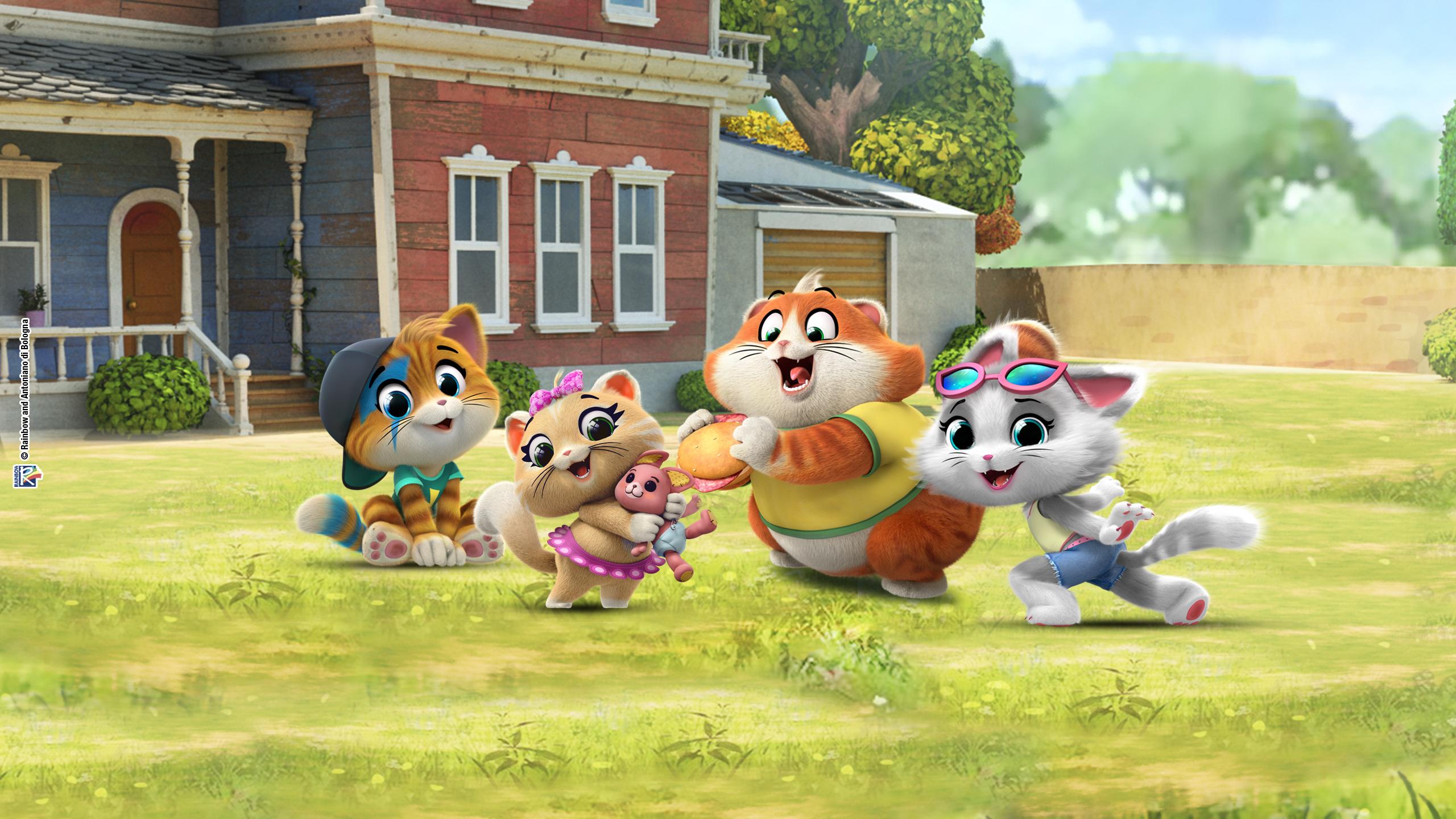 44 Cats Wallpapers - Top Free 44 Cats Backgrounds - WallpaperAccess