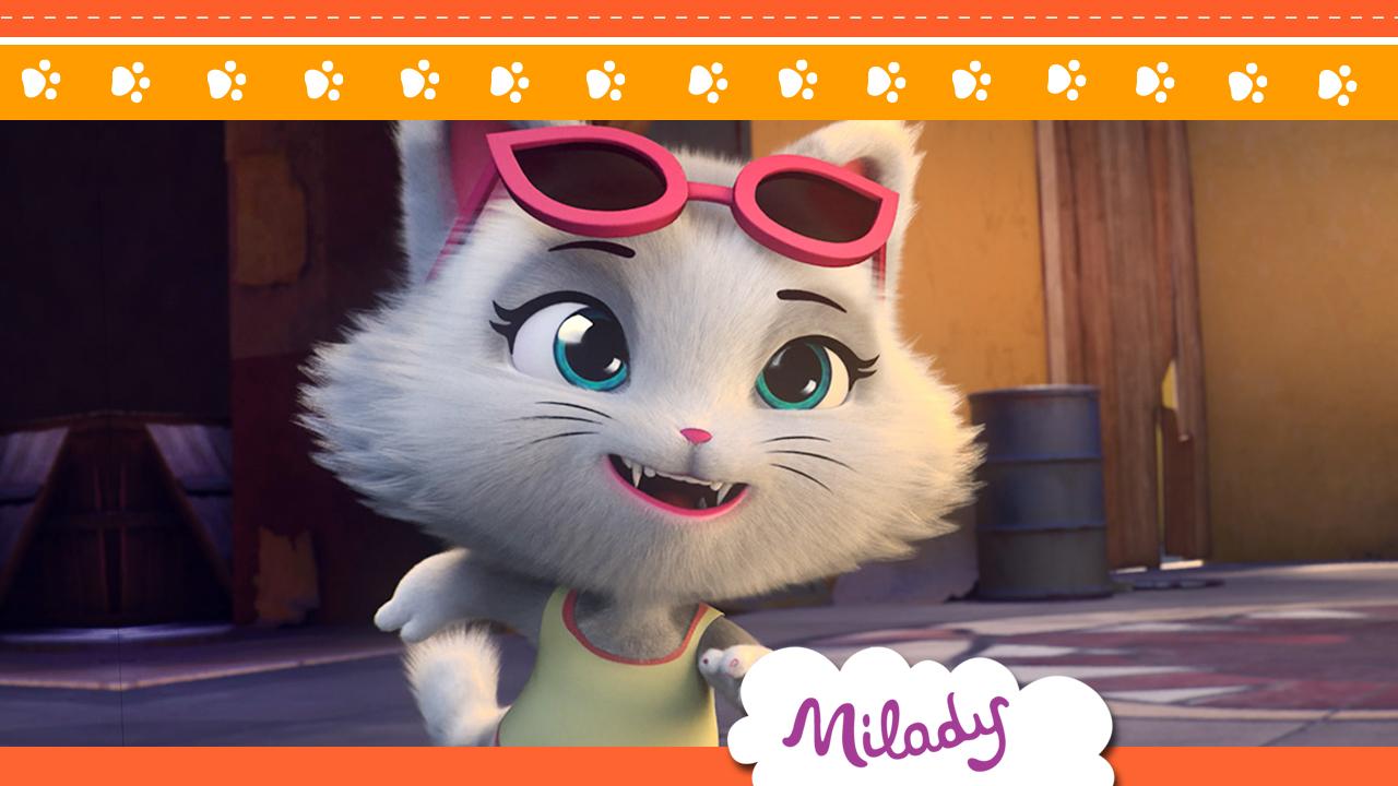 44 Cats Wallpapers - Top Free 44 Cats Backgrounds - WallpaperAccess