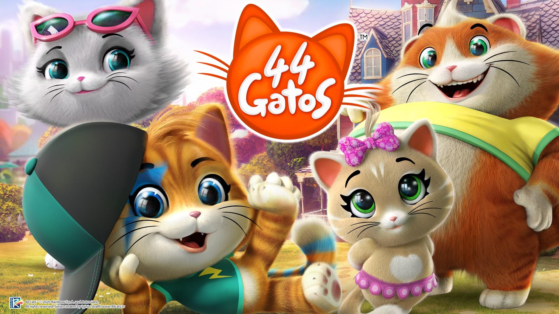 44 Cats Wallpapers - Top Free 44 Cats Backgrounds - WallpaperAccess