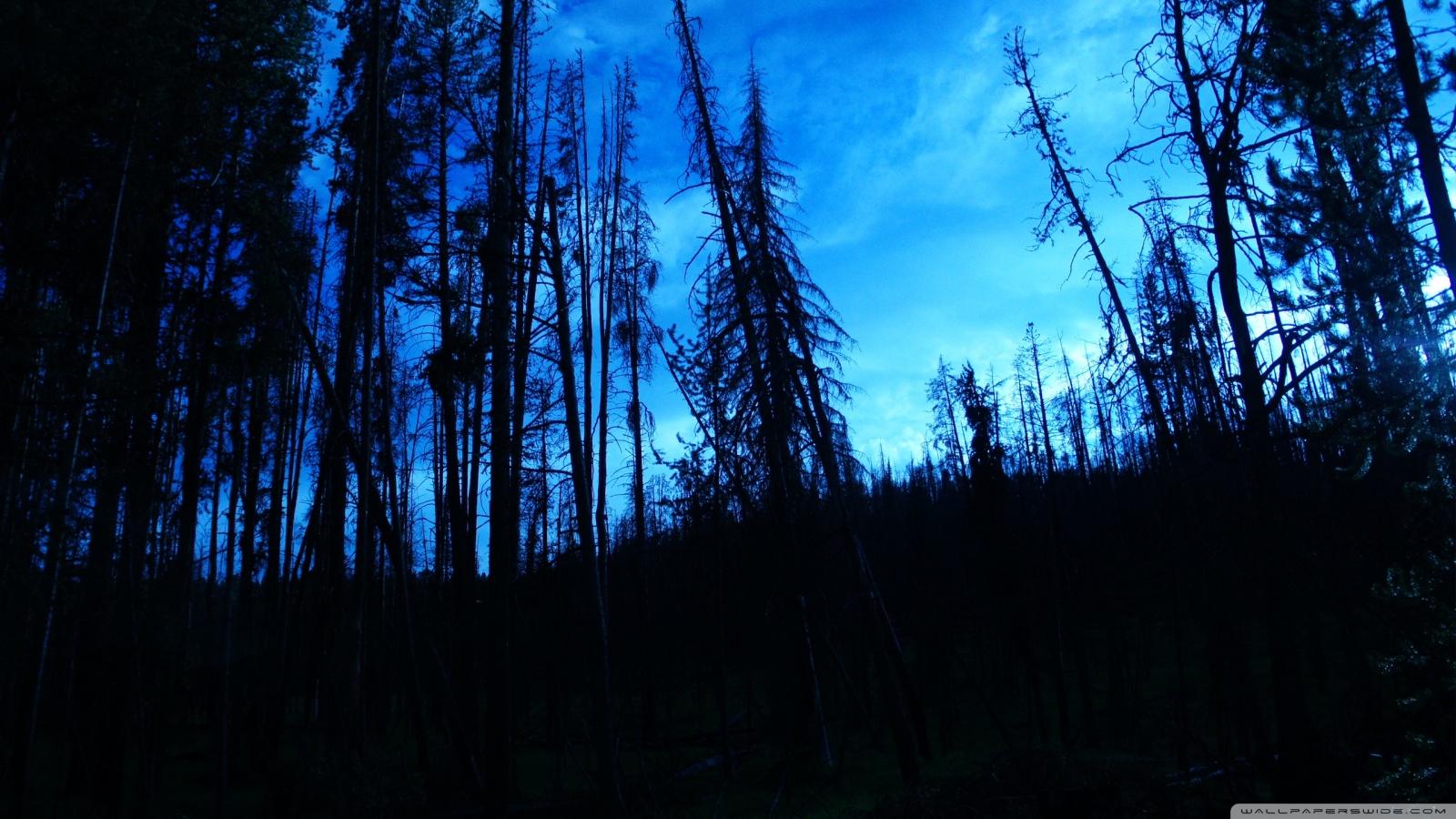 Blue Themed Wallpapers - Top Free Blue Themed Backgrounds - WallpaperAccess