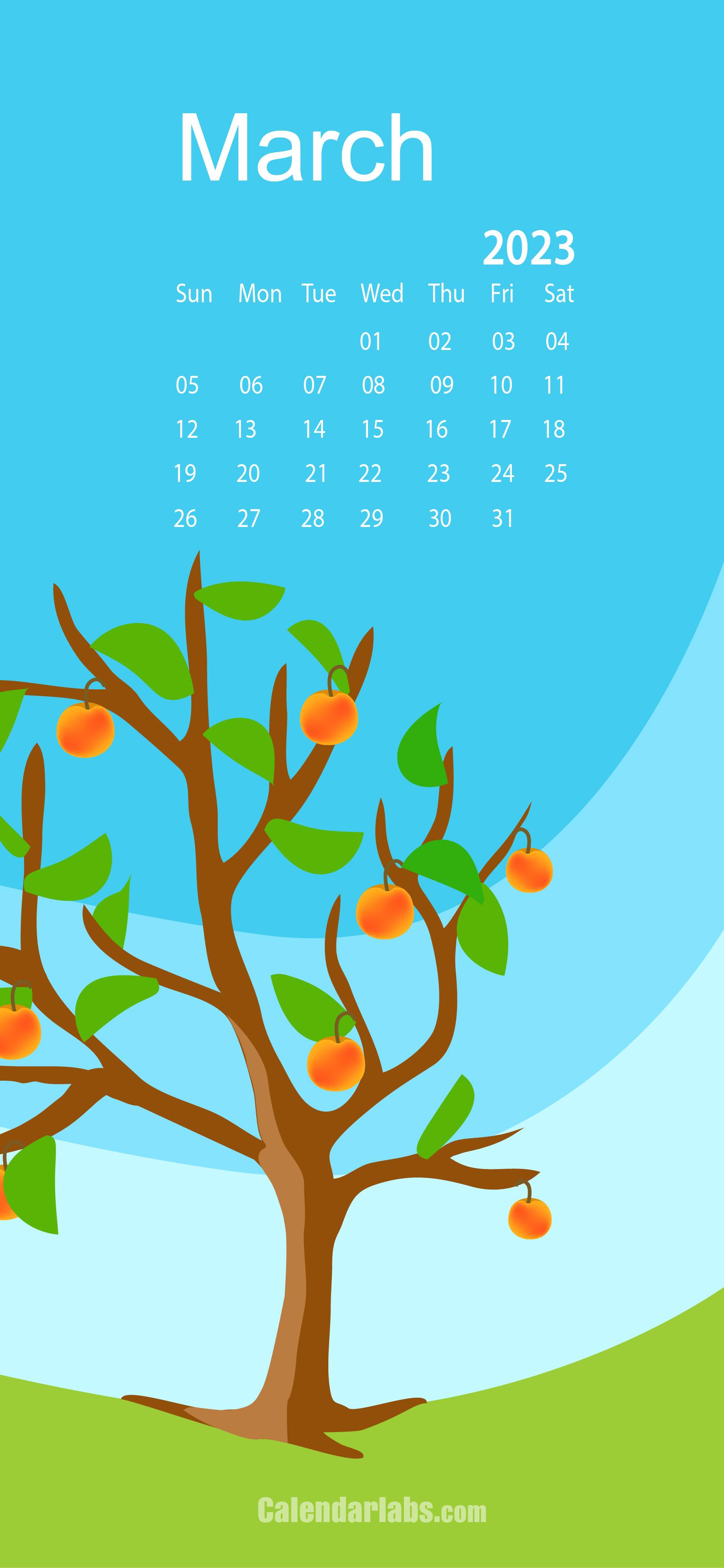 March 2023 Calendar Wallpapers - Top Free March 2023 Calendar ...