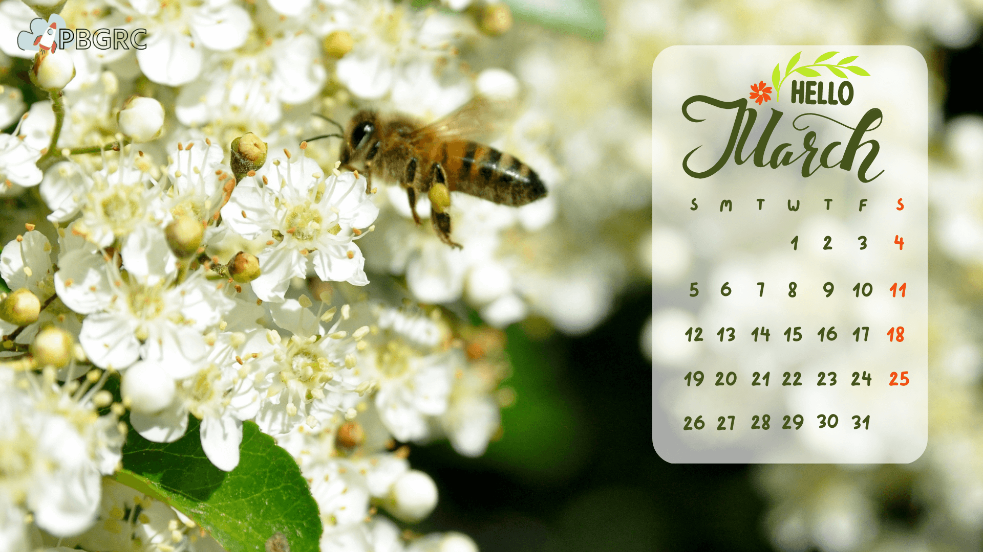 March 2023 Calendar Wallpapers - Top Free March 2023 Calendar ...