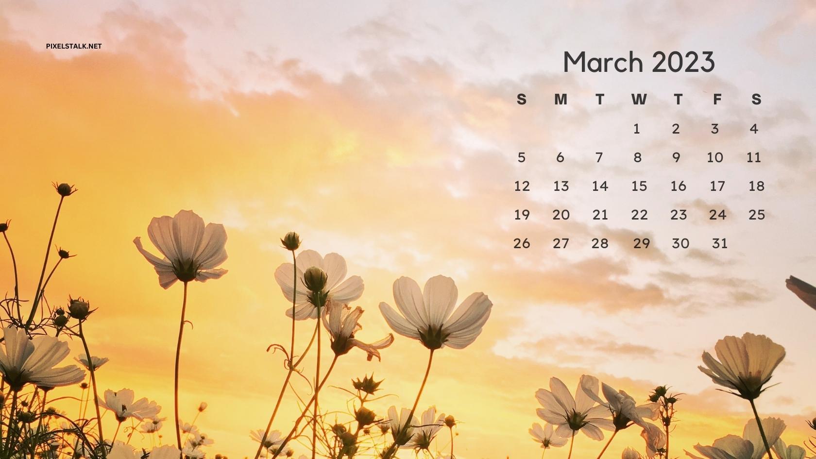 March 2023 Calendar Wallpapers - Top Free March 2023 Calendar ...
