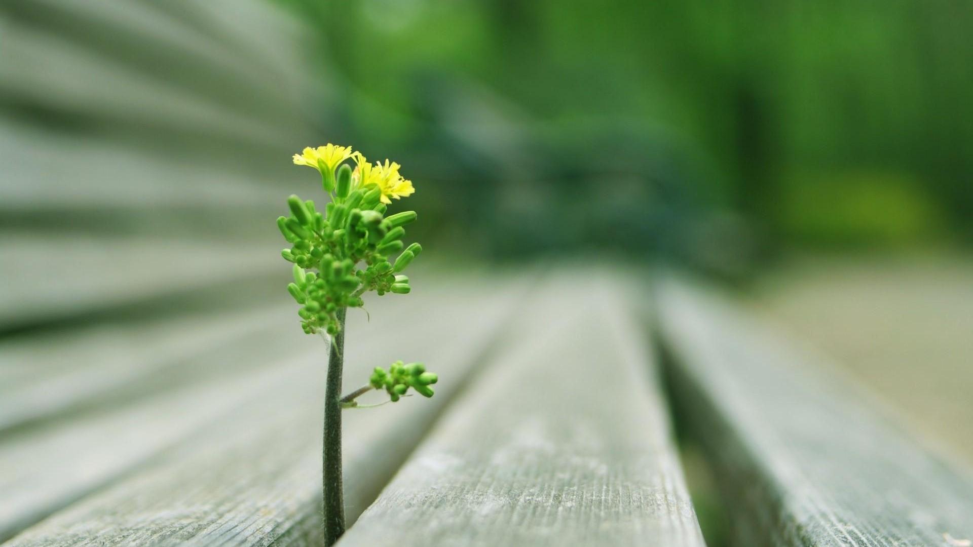 Values Wallpapers - Top Free Values Backgrounds - WallpaperAccess