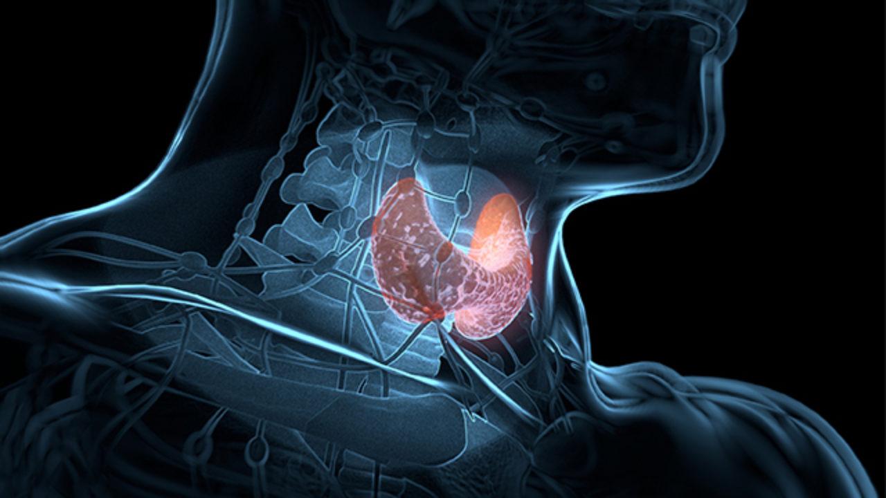 Thyroid Wallpapers - Top Free Thyroid Backgrounds - WallpaperAccess