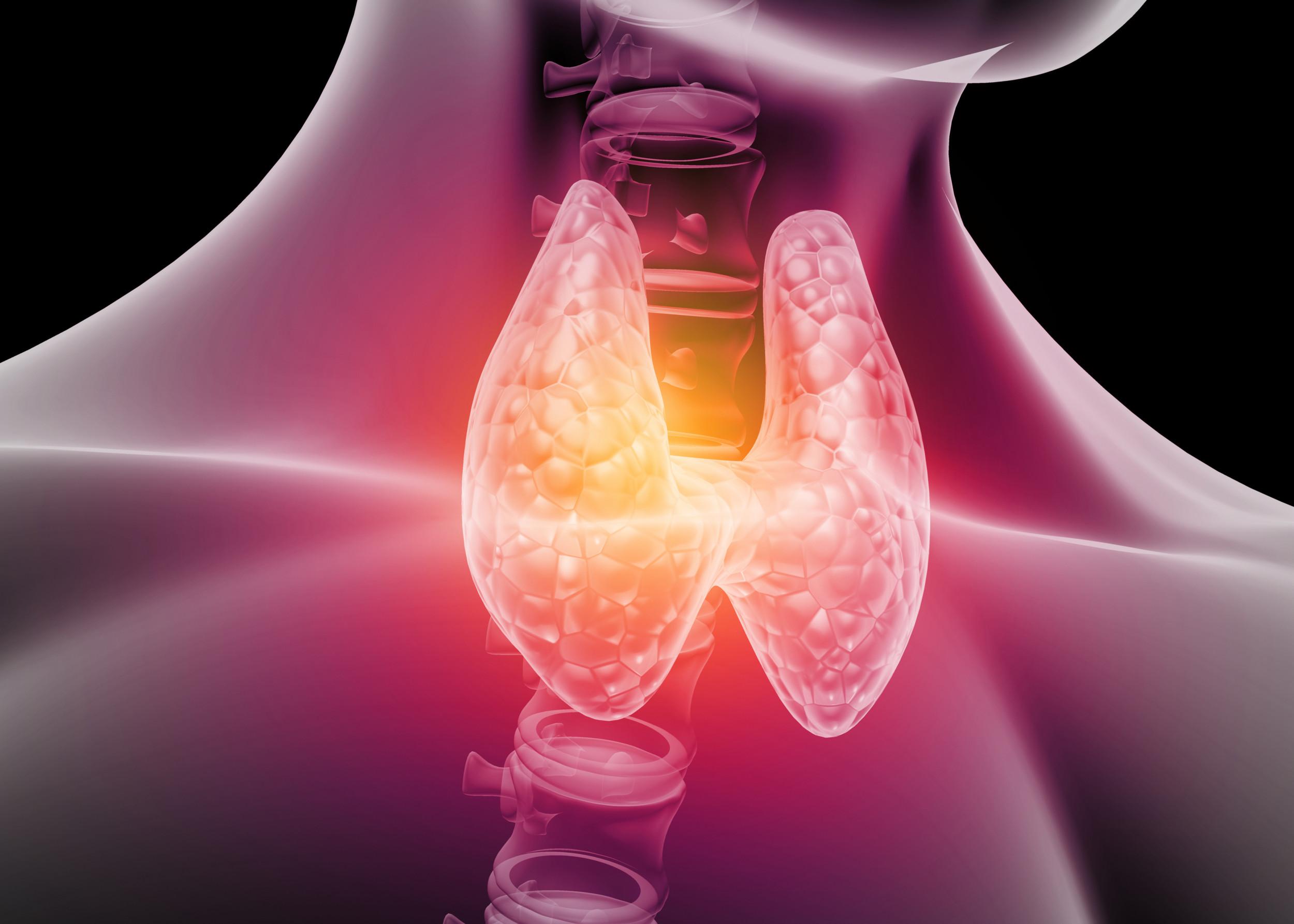 Thyroid Wallpapers - Top Free Thyroid Backgrounds - WallpaperAccess