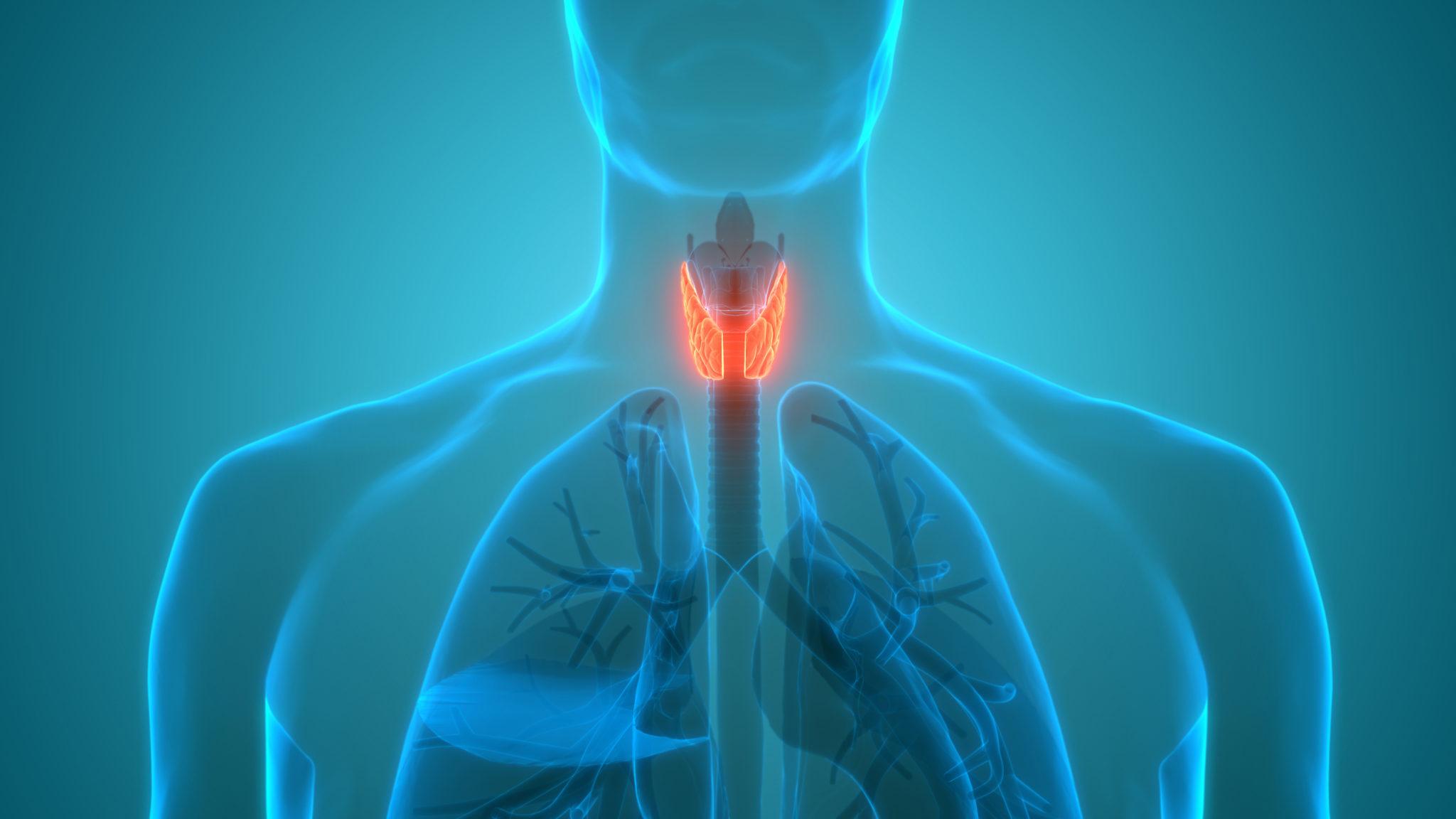 Thyroid Wallpapers - Top Free Thyroid Backgrounds - WallpaperAccess