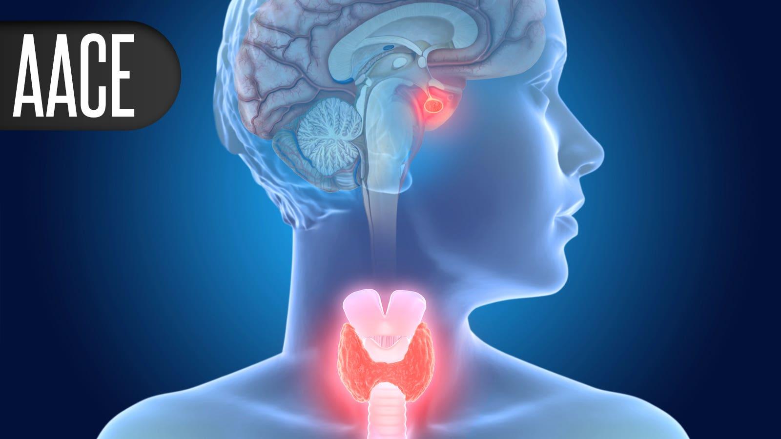 Thyroid Wallpapers - Top Free Thyroid Backgrounds - WallpaperAccess