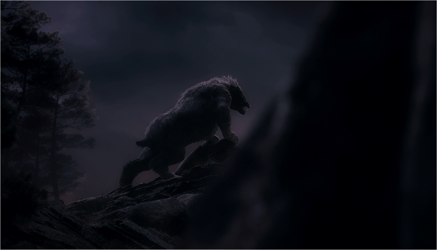 Beorn Wallpapers - Top Free Beorn Backgrounds - WallpaperAccess