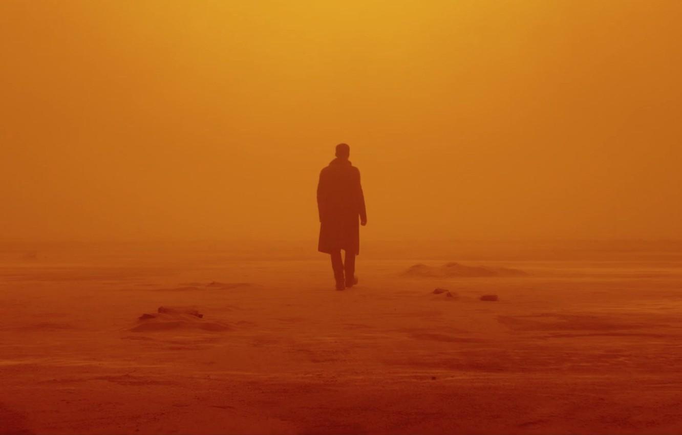 Ryan Gosling Blade Runner Wallpapers - Top Free Ryan Gosling Blade ...